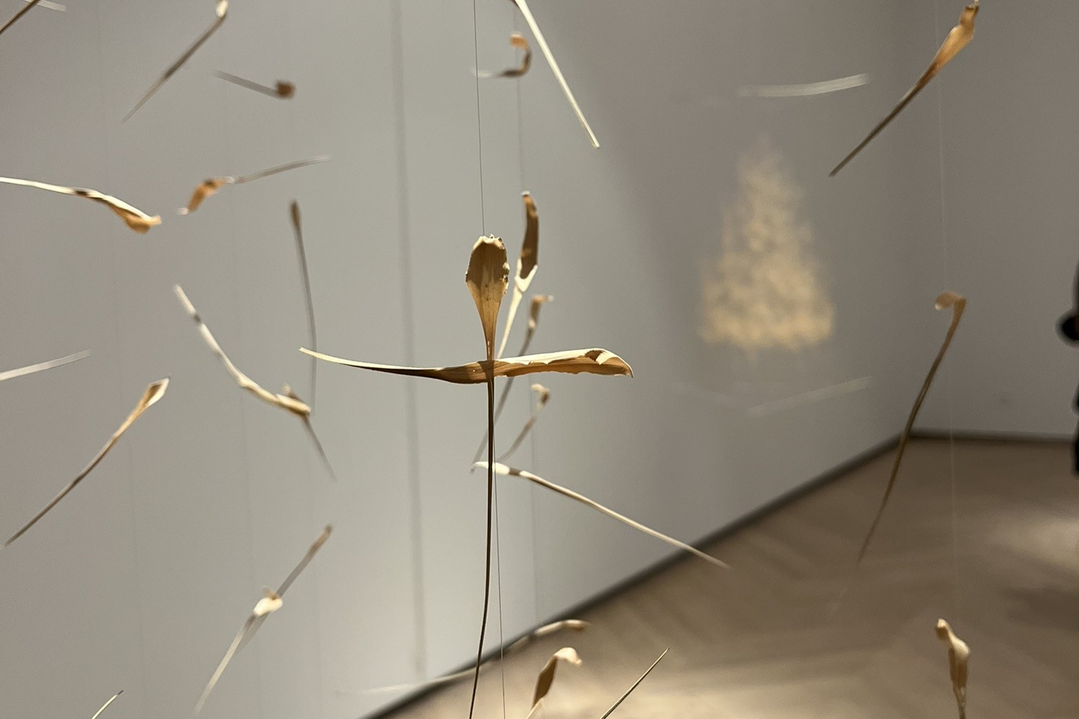 CEINPRO - Descubriendo el universo de María Cueto